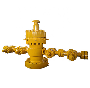 Casing Head - DEENPU MACHINERY