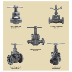 3" Demco Mud Gate Valve API-6A 3" DM Mud Valve - Jiangsu Deenpu Petrochemical Machinery Co.,Ltd