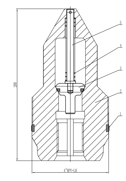 Type H Back Pressure Valve /Two Way Check Valve Manufacturer