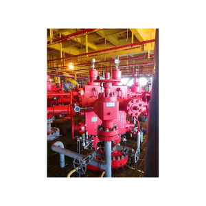 Single barrel double well wellhead device | Deenpu Machinery